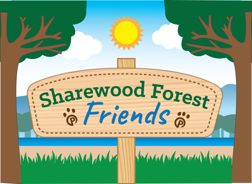 Which Sharewood Forest Friend Are You? – Playtime by Eimmie